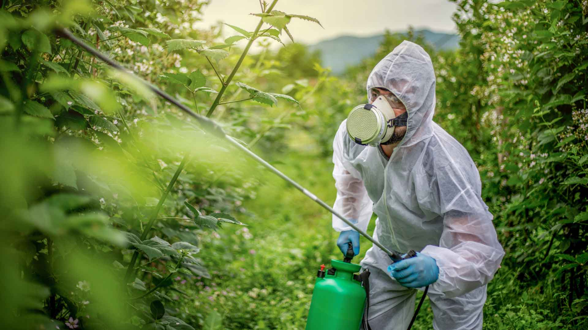 Home Protection Plan - Q Pest Control Services WLL